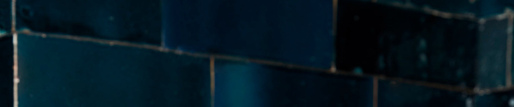 Extended Sizes | Inclusive Southern Style | Draper James