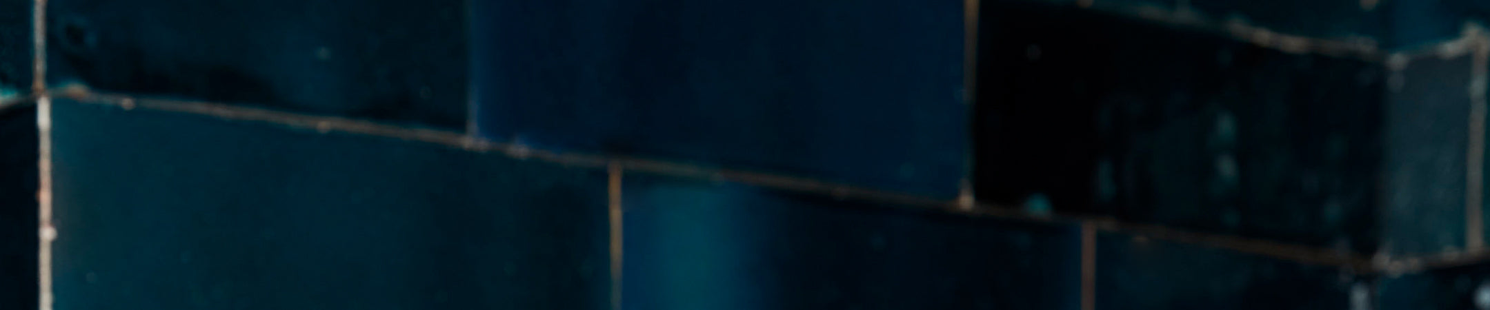 Extended Sizes | Inclusive Southern Style | Draper James