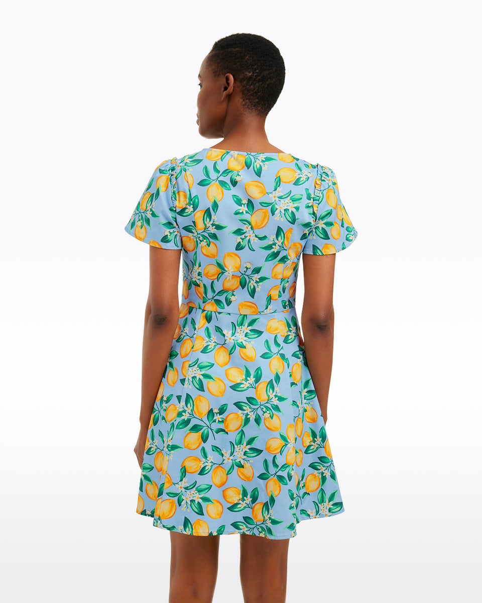 Mae Love Circle Dress in Lemon Blossom – Draper James